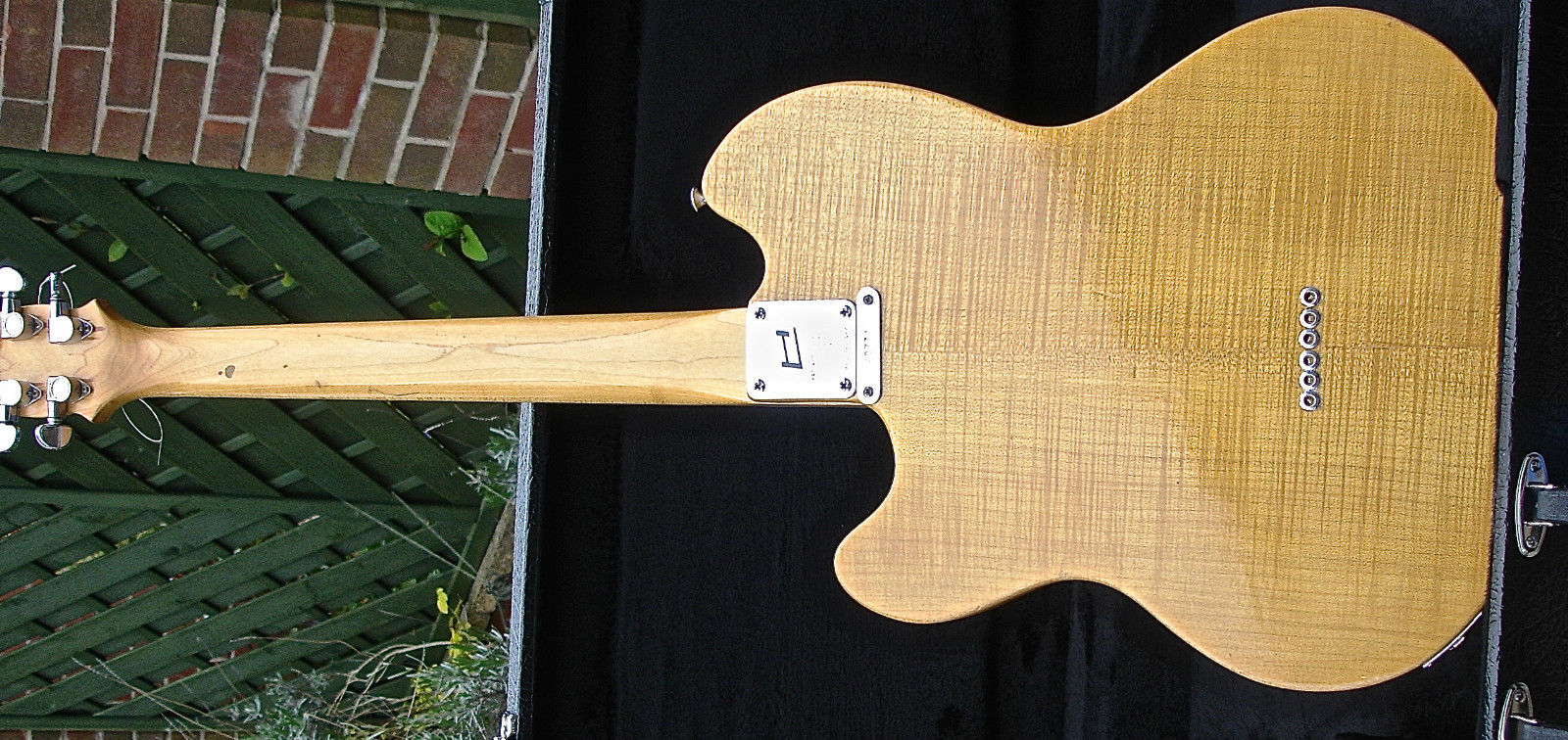 Hayman 1010 Guitar reference page